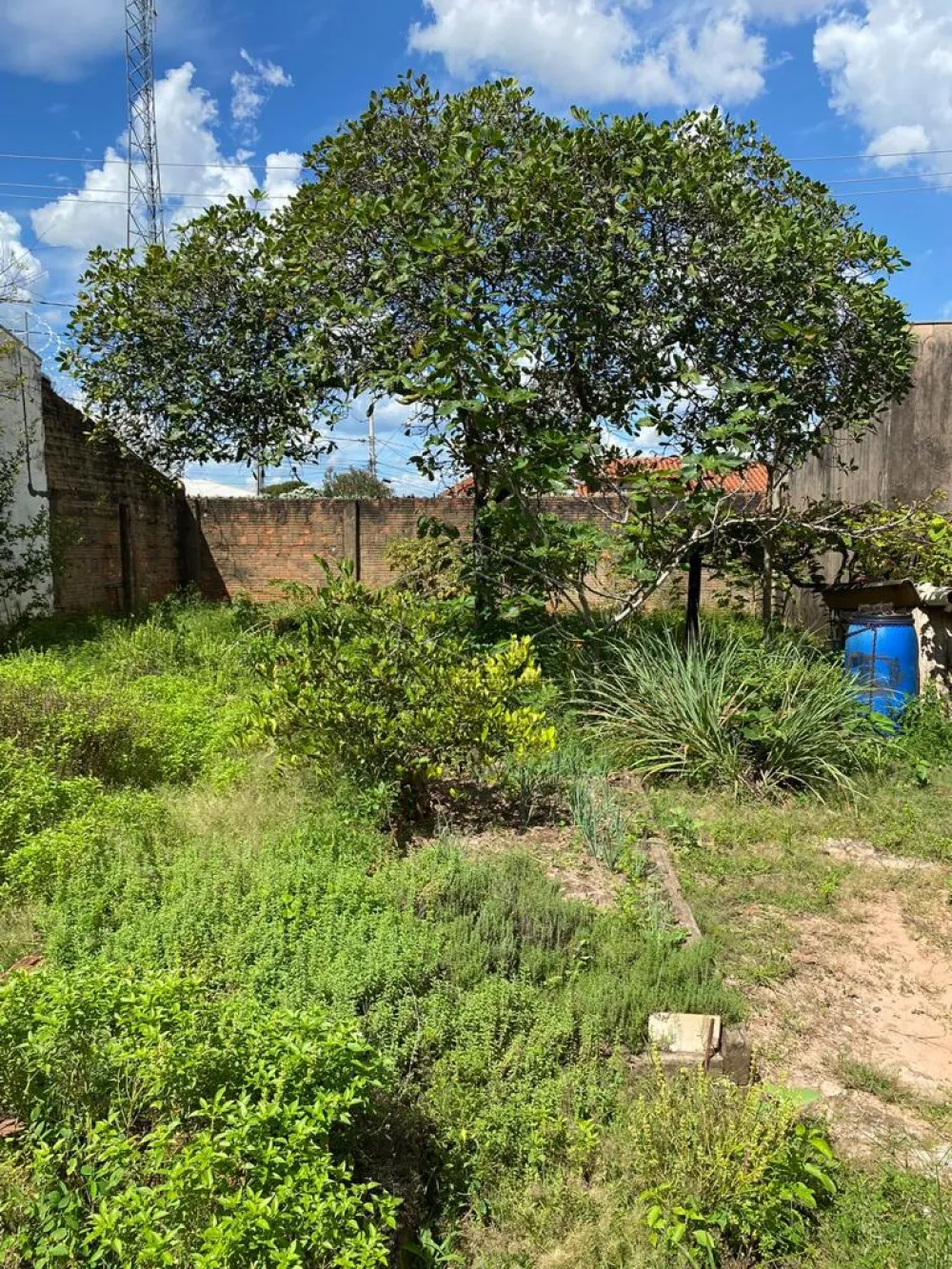terreno-plano-murado-e-encaixado-no-vania-maria